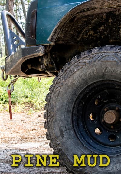 Watch Pine Mud (2020) - Free Movies | Tubi