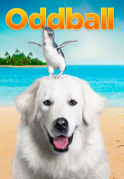 Watch Oddball (2016) - Free Movies | Tubi