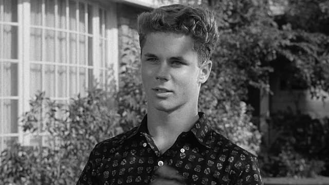 Watch Leave It to Beaver S03:E21 - Beaver's Dance Free TV | Tubi