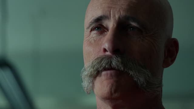 Watch Quantico S03:E11 - The Art of War - Free TV Shows | Tubi