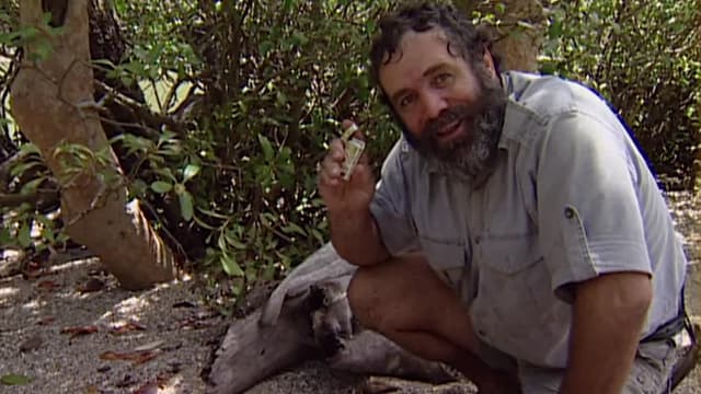 Watch Killer Instinct with Rob Bredl S01:E12 - Austr - Free TV Shows | Tubi