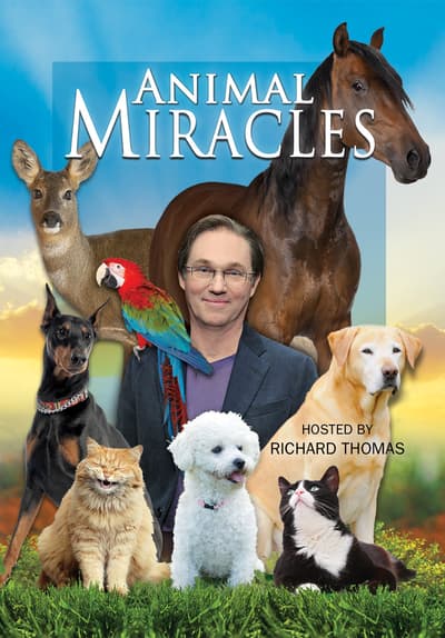 Watch Animal Miracles S01:E01 - Amazing Animals Free TV | Tubi