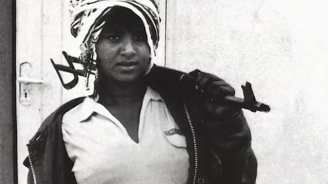 Watch War Women - Free TV Shows | Tubi