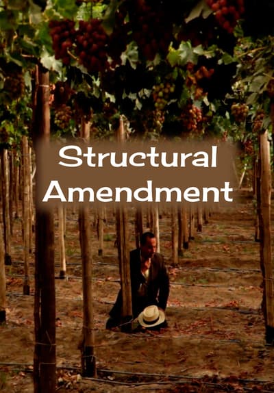 Watch Structural Amendment (2015) - Free Movies | Tubi