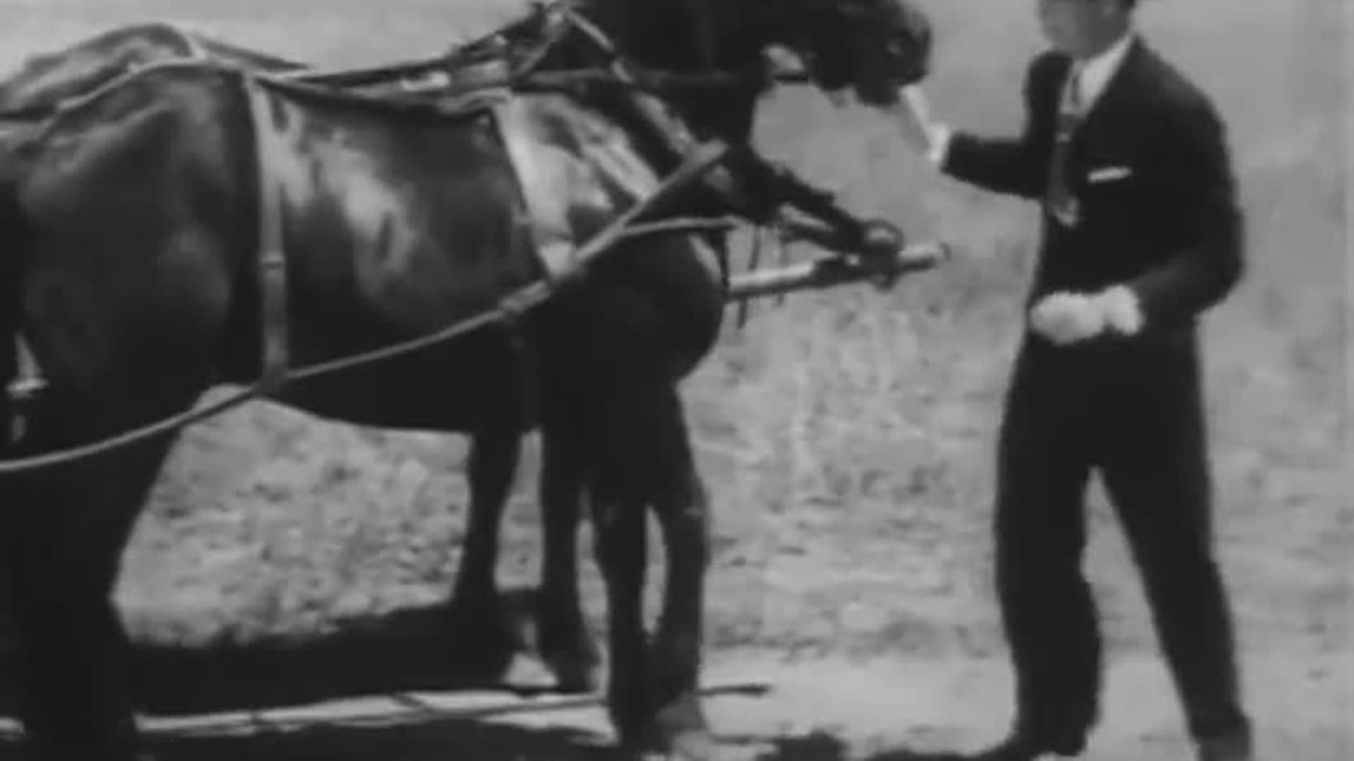 Watch Mystery Ranch (1934) - Free Movies | Tubi