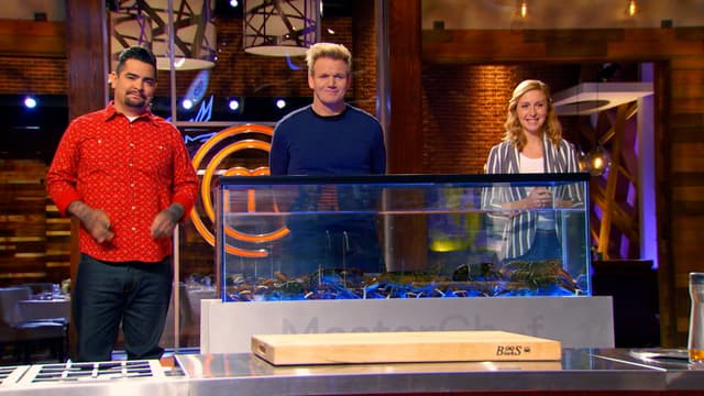 Watch MasterChef S07:E06 - Gordon Ramsay Masterclass - Free TV Shows | Tubi