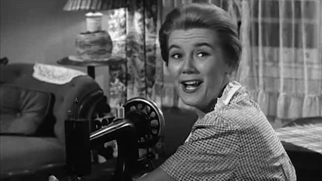 Watch The Real McCoys S03:E16 - How to Build a Boat - Free TV Shows | Tubi