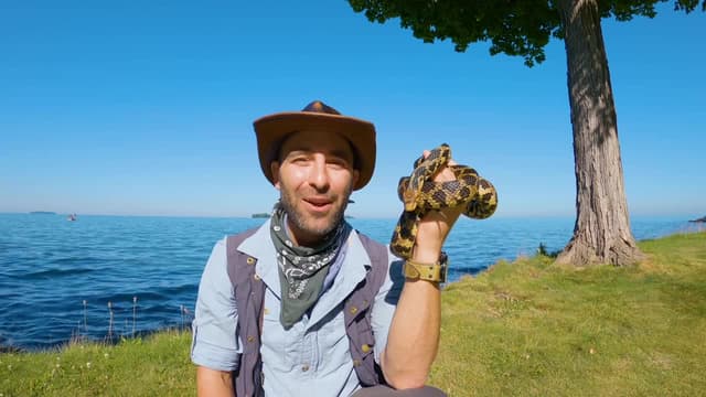 Watch Brave Wilderness Season 7 - Free TV Shows | Tubi