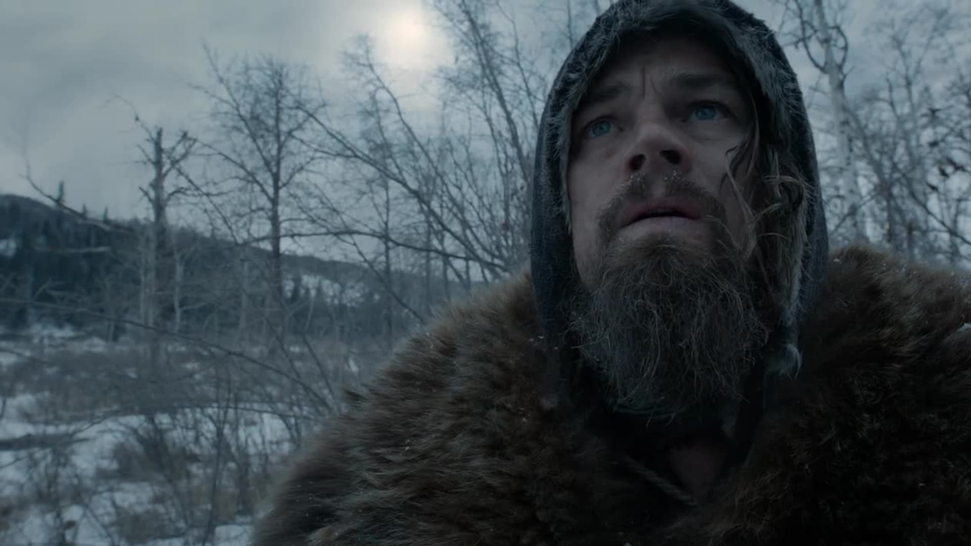Watch The Revenant (2015) - Free Movies | Tubi