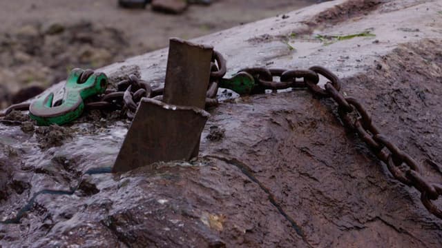 Watch Jade Fever Season 2 - Free TV Shows | Tubi