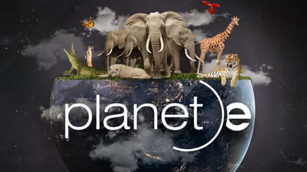 Watch Planet E: Fixing Earth From Your Backyard - Free TV Shows | Tubi