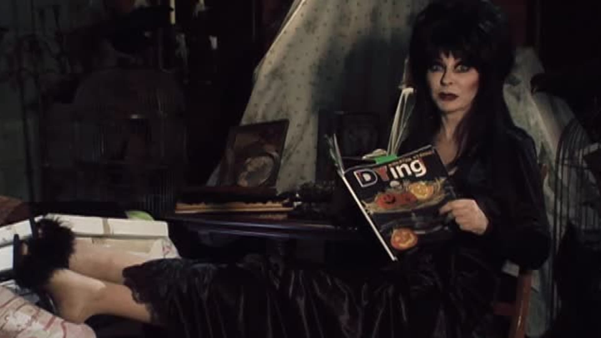 Watch Elvira's Movie Macabre: Night of the Living Dead - Free Movies | Tubi