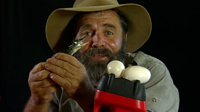 Watch Killer Instinct with Rob Bredl S01:E13 - Crocodiles: Built to ...