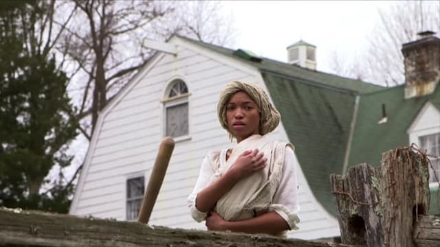 Watch Mysteries at the Museum S09:E12 - Pigeon Bra - Free TV Shows | Tubi