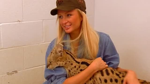 Watch The Simple Life S03:E08 - Zoo Free TV | Tubi