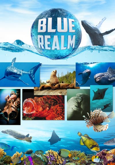 Watch Blue Realm - Free TV Series | Tubi