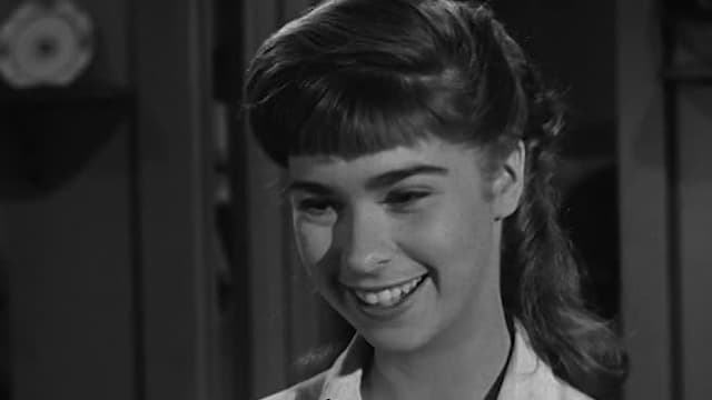 Watch The Real McCoys S04:E36 - Hassie's European Trip Free TV | Tubi