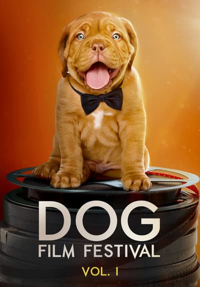 Watch Dog Film Festival Vol. 1 (2020) - Free Movies | Tubi