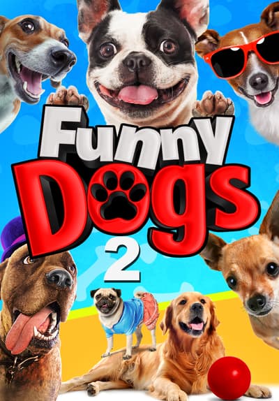 Watch Funny Dogs 2 (2018) - Free Movies | Tubi