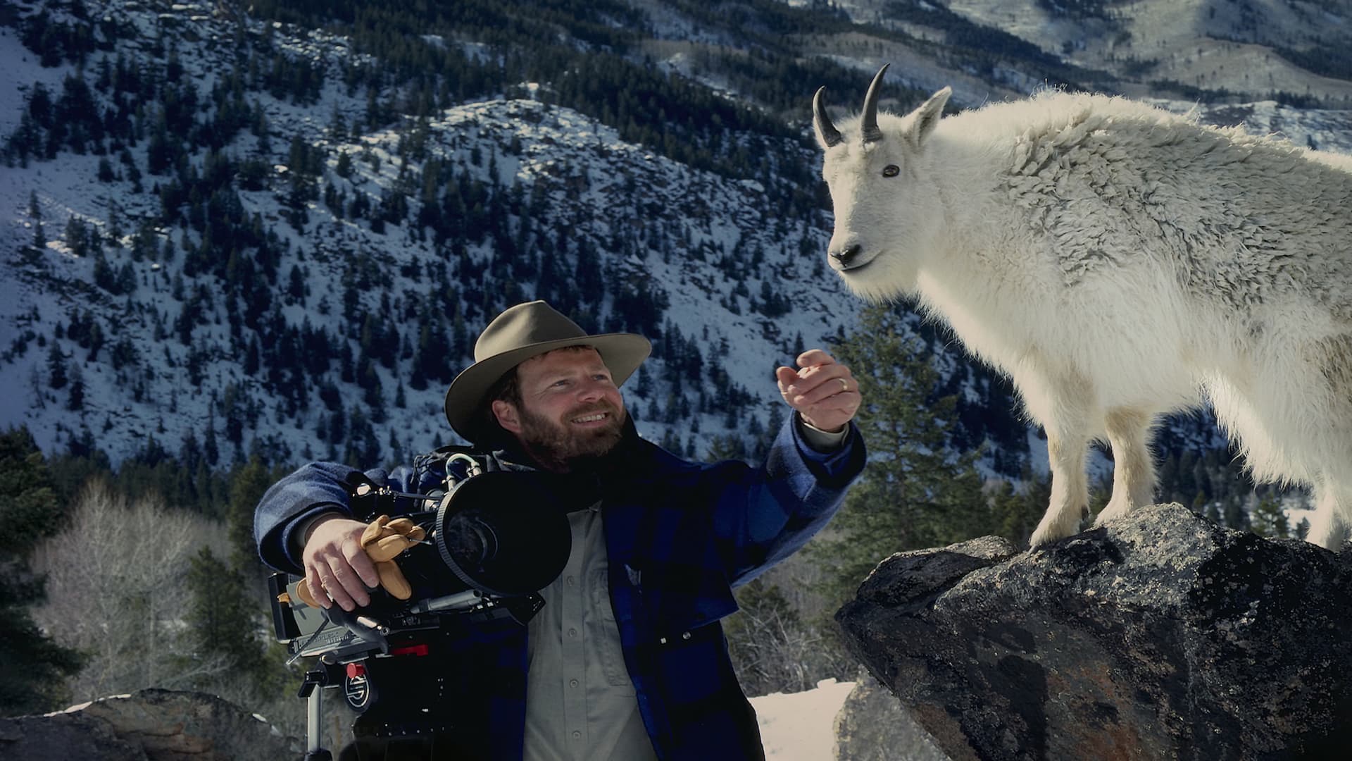 Watch Wild America: Marty's World (2008) - Free Movies | Tubi