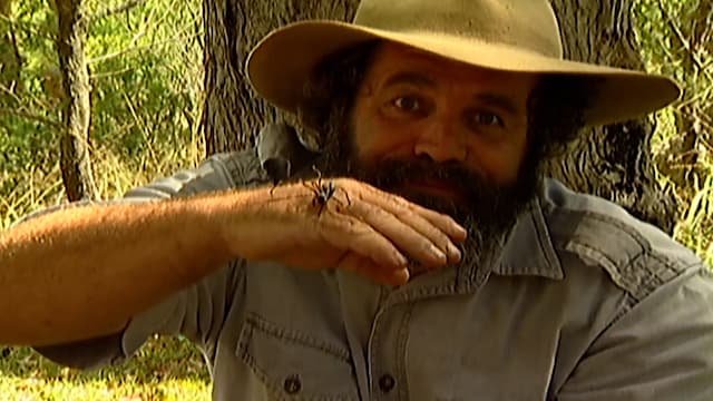 Watch Killer Instinct with Rob Bredl - Free TV Shows | Tubi