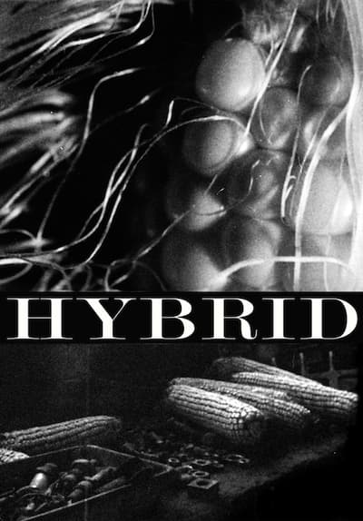 Watch Hybrid (2001) - Free Movies | Tubi