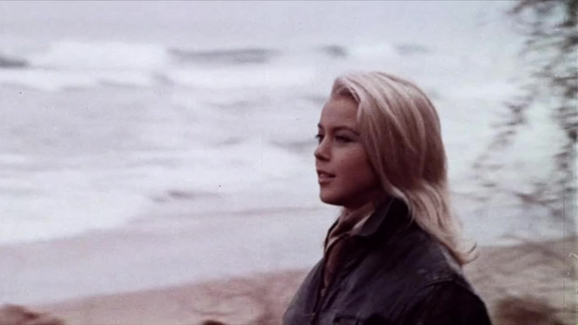 Watch Probability Zero (1968) - Free Movies | Tubi