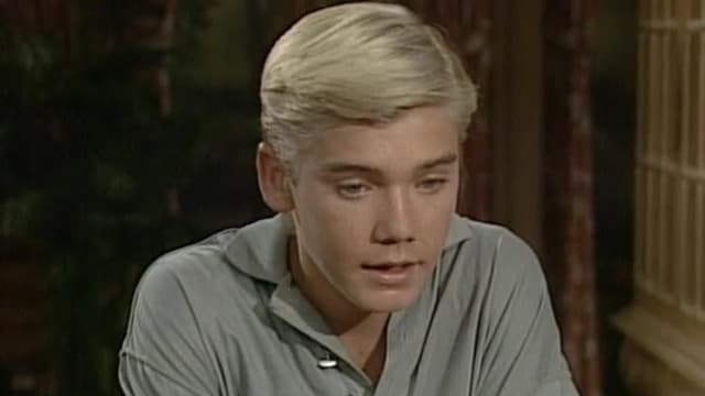 Watch Silver Spoons S04:E406 - Stratton and Stratton - Free TV Shows | Tubi