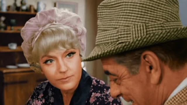 Watch Bewitched S02:E35 - The Catnapper - Free TV Shows | Tubi