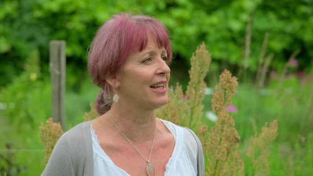 Watch Gardeners' World S09:E17 - Episode 17 - Free TV Shows | Tubi