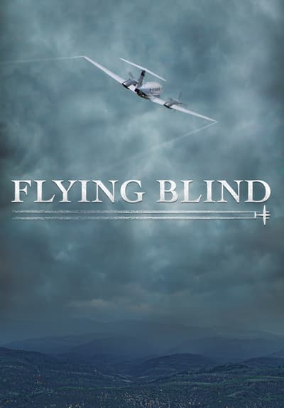 Watch Flying Blind (2017) - Free Movies | Tubi
