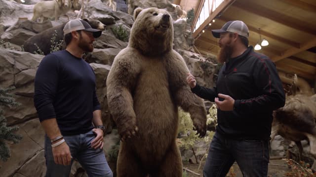 Watch Dropped - Free TV Shows | Tubi