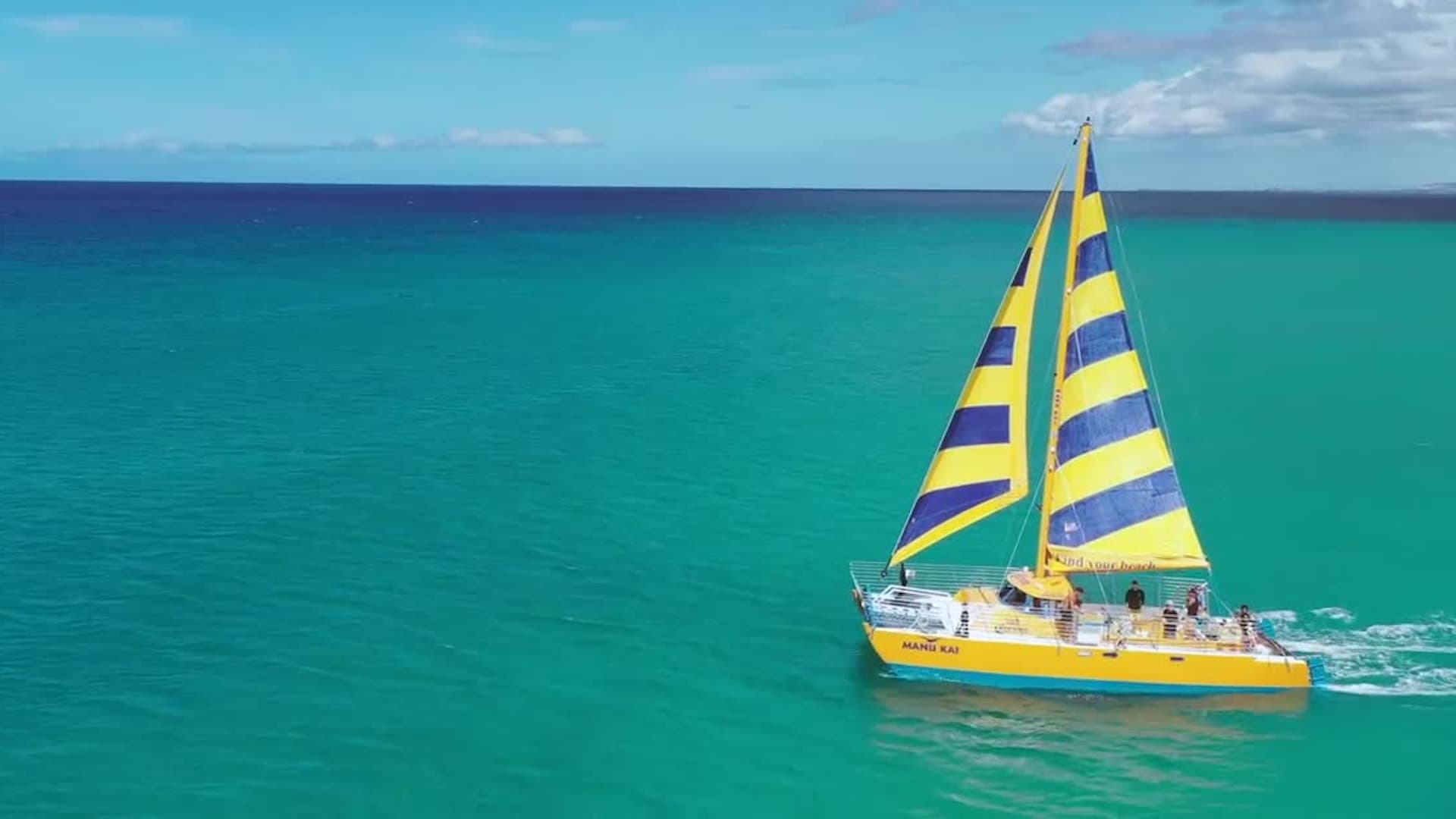 Watch Visit Hawaii (2022) - Free Movies | Tubi