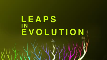 Watch Leaps in Evolution - Free TV Shows | Tubi