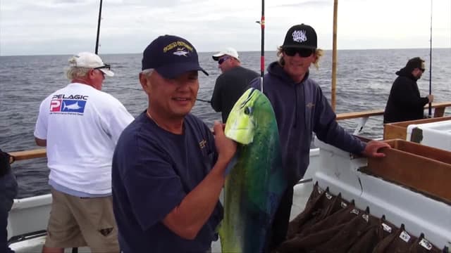Watch Inside Sportfishing S03:E08 - Calico Craze at - Free TV Shows | Tubi