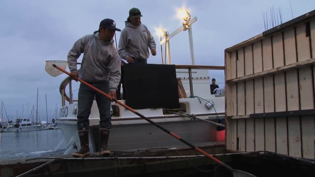 Watch Inside Sportfishing S03:E08 - Calico Craze at - Free TV Shows | Tubi