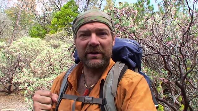 Watch Survivorman S02:E08 - Sierra Nevada Search and Rescue - Free TV ...