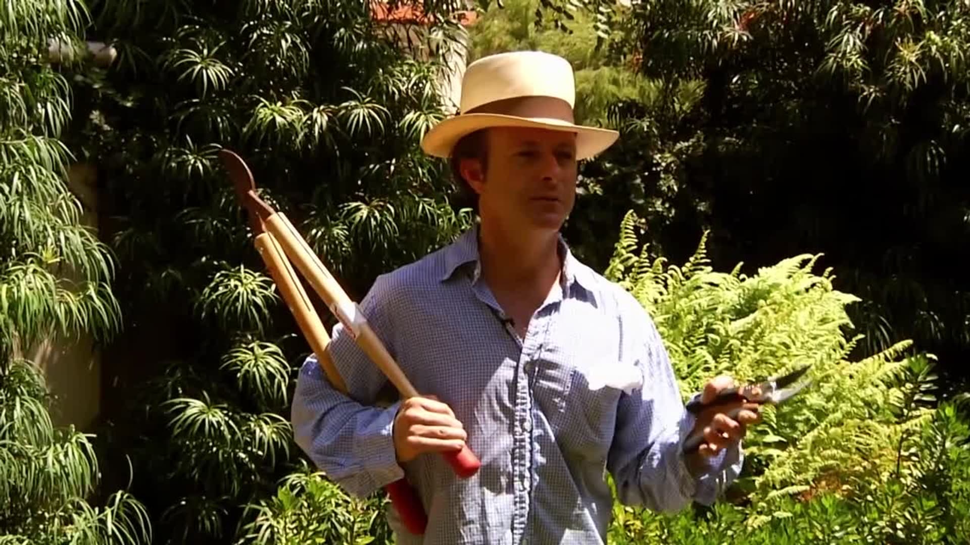 Watch Felix Austria! (2013) - Free Movies | Tubi