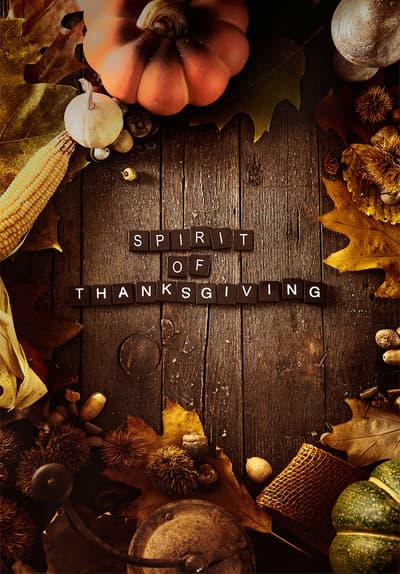 Watch Spirit of Thanksgiving (2016) - Free Movies | Tubi