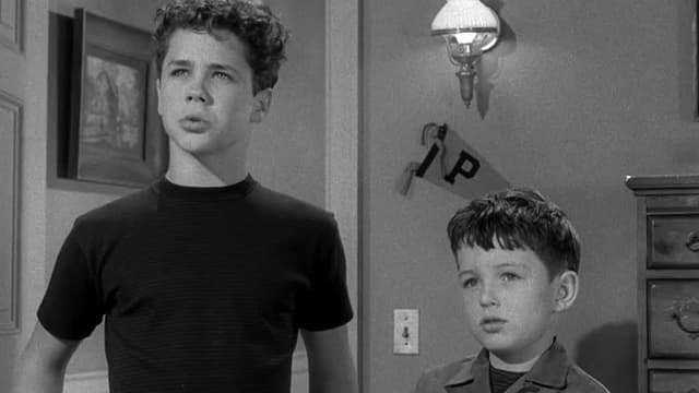 Watch Leave It to Beaver - Free TV Series | Tubi