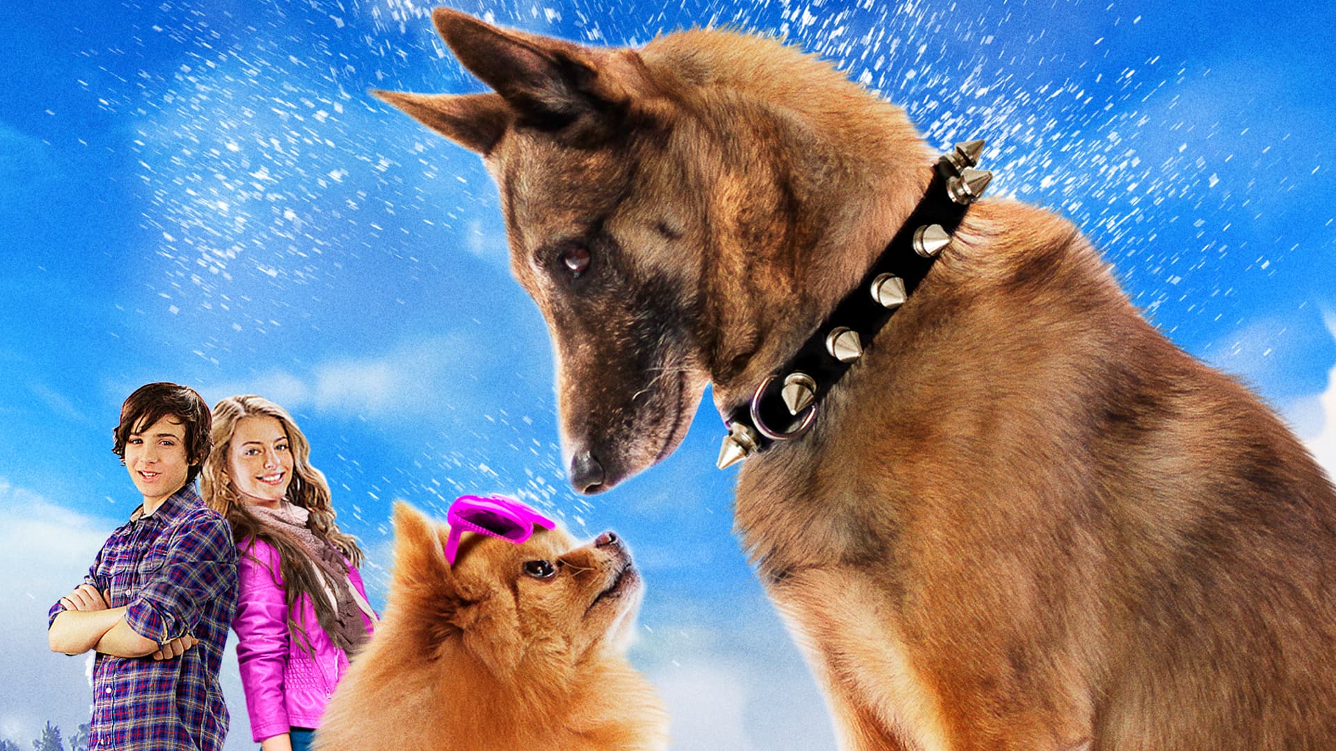 Watch Step Dogs (2013) - Free Movies | Tubi