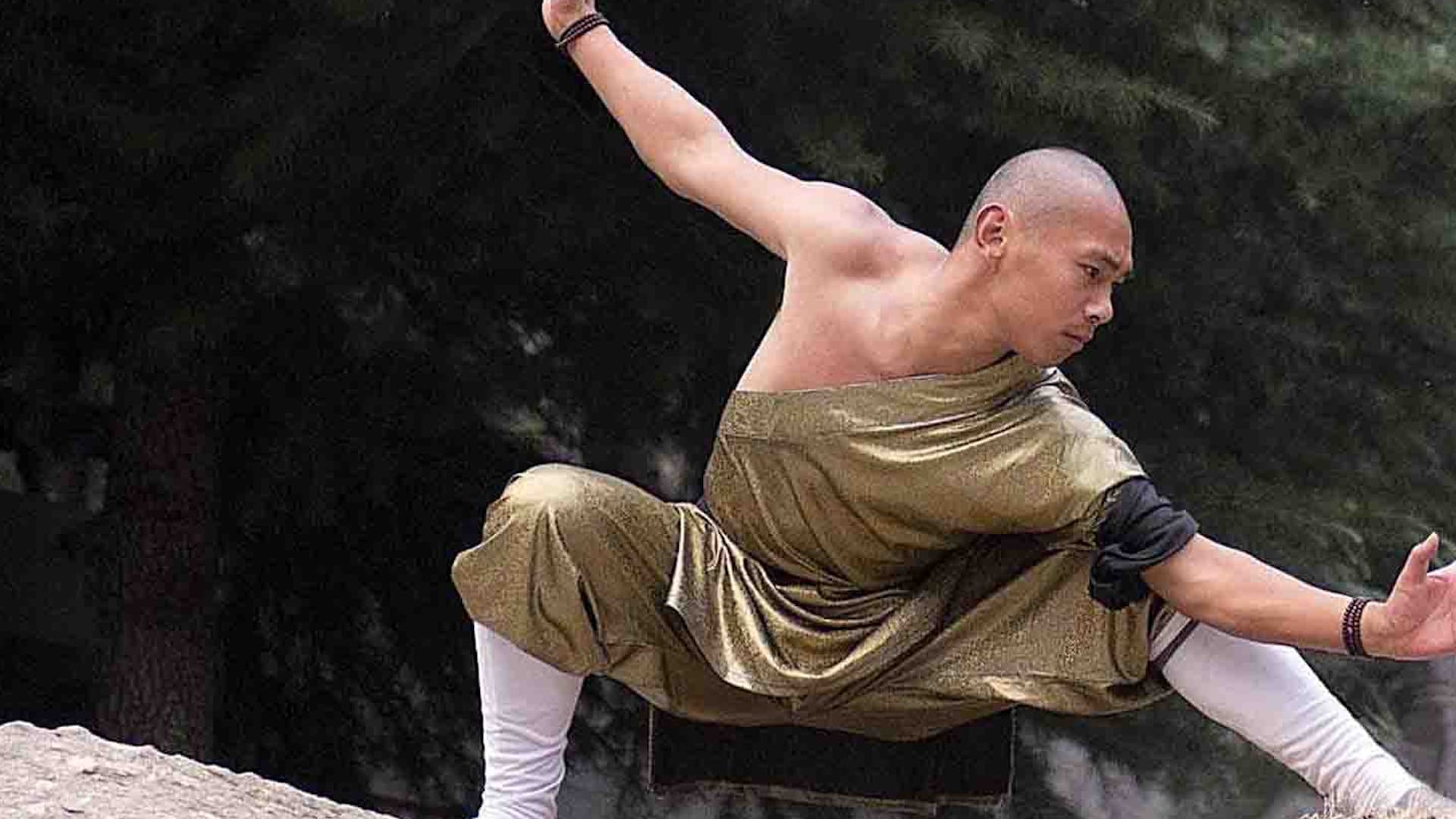 Watch Wandering Monk (1980) - Free Movies | Tubi