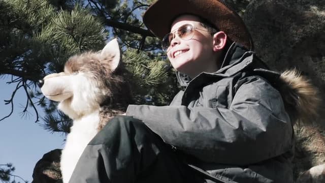 Watch Brave Wilderness S07:E11 - Hungry Like a Wolf - Free TV Shows | Tubi