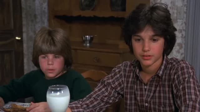 Watch Eight Is Enough S05:E08 - Strike - Free TV Shows | Tubi