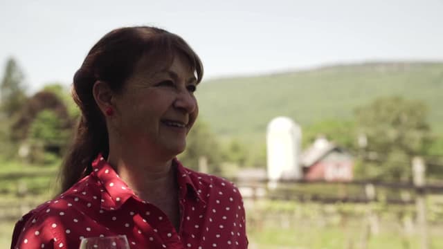 Watch Wine Whoopee With Brandon Anders - Free TV Shows | Tubi