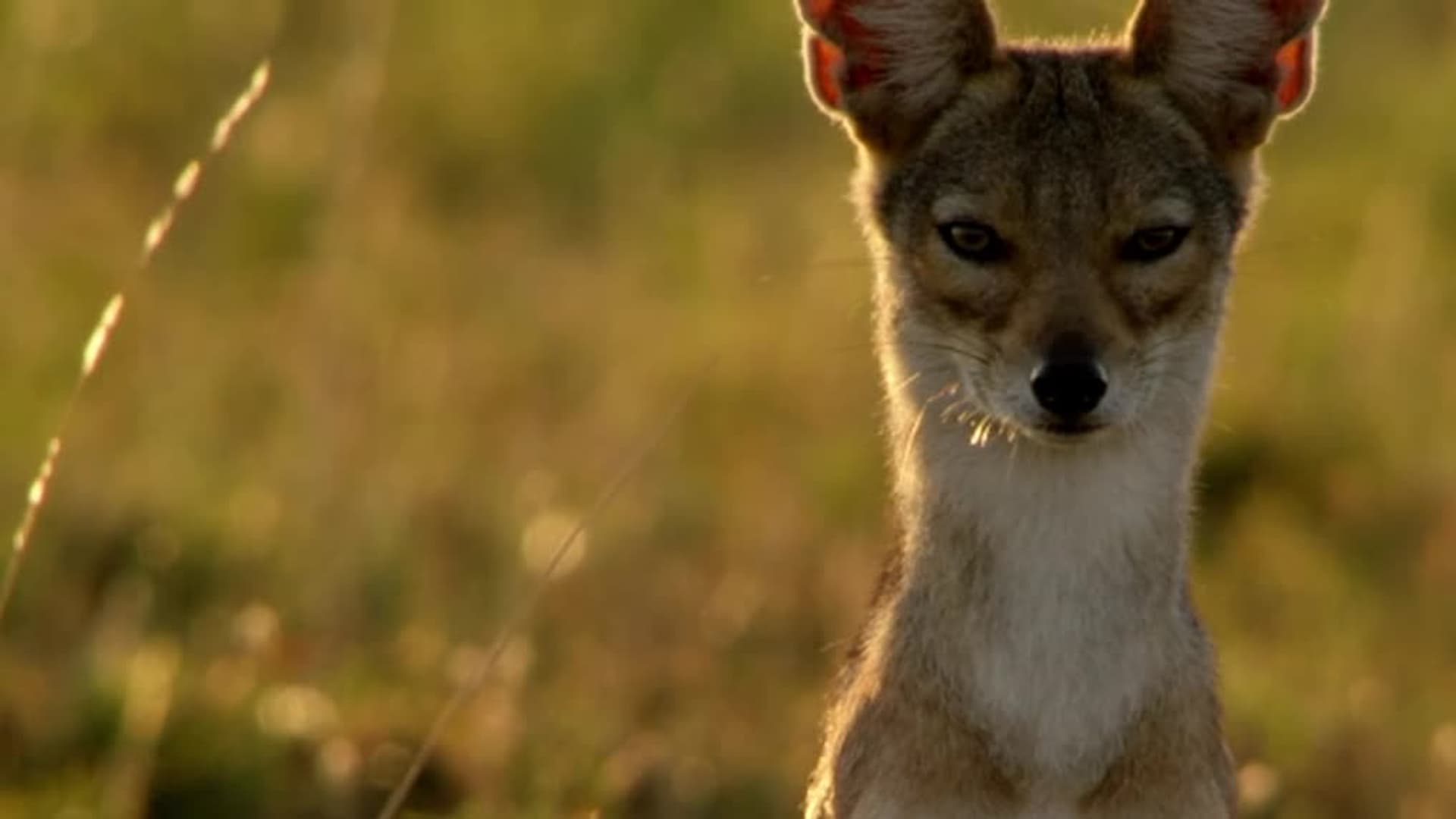 Watch Clean Up Crew (2021) - Free Movies | Tubi