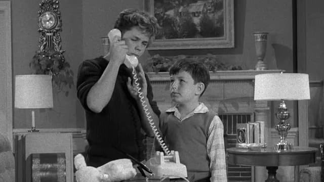 Watch Leave It to Beaver - Free TV Series | Tubi