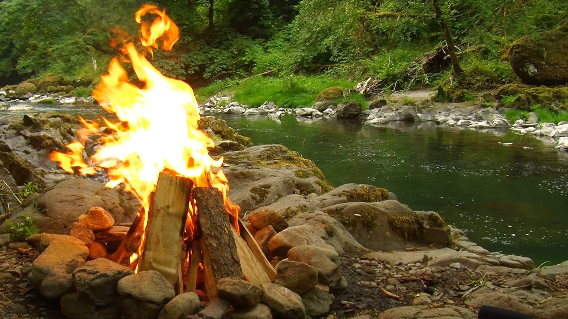 Watch Campfire for Your Home : Daytime by the River Wi - Free Movies | Tubi