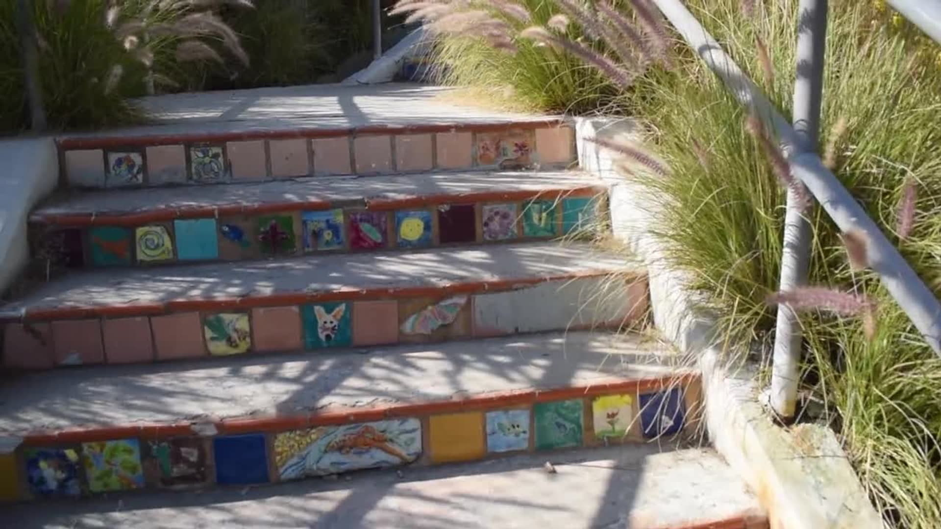 Watch Above the Arroyo: A Dream of the Stairs of Los A - Free Movies | Tubi