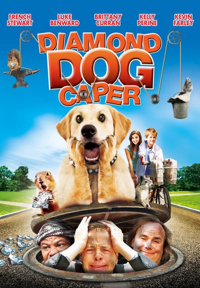 Watch Diamond Dog Caper (2008) - Free Movies | Tubi